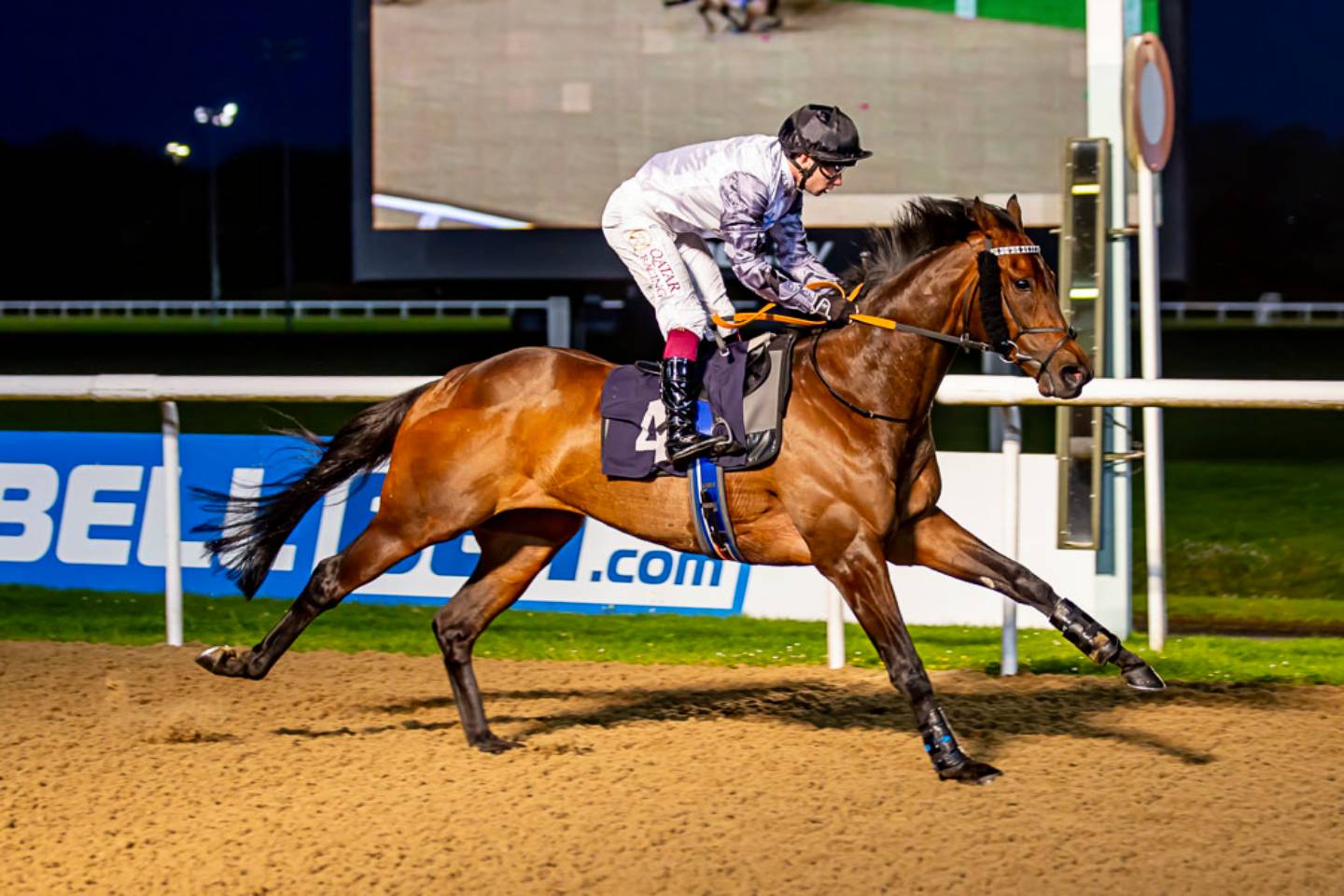 Our Horses in Training | Rebel Racing